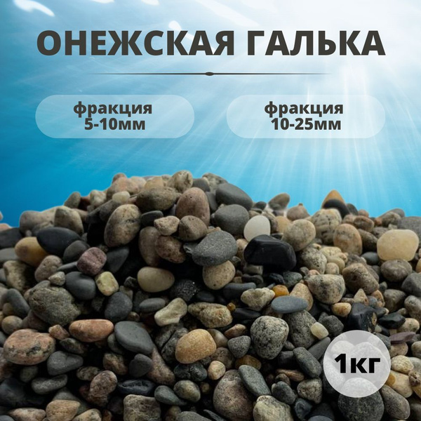 Галька Онежская, Галька для аквариума и растений, 1 кг, Фракция 5-10 мм ...