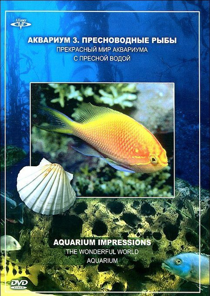 Аквариум 3: Пресноводные рыбы. РЕЛАКСАЦИЯ - купить с доставкой по ...