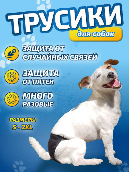 Трусы для собак при течке многоразовые, трусики для собак - купить с ...