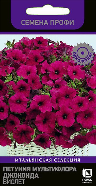 Петунии ПОИСК Агрохолдинг Петуния мультифлора Джоконда Виолет - купить ...