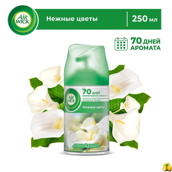 Ароматический освежитель воздуха AirWick Нежные цветы, сменный баллон ...