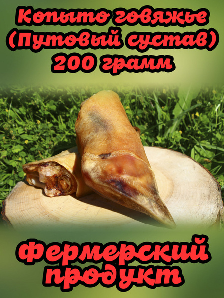 Копыто говяжье, лакомство угощение для собак, 1 шт - купить с доставкой ...