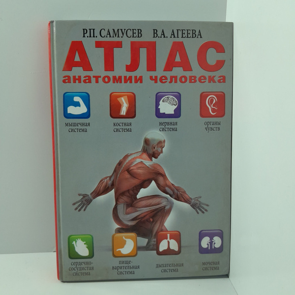 Р.Самусев/Атлас анатомии человека - купить с доставкой по выгодным ...