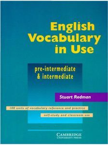 English Vocabulary in Use Pre-intermediate and Intermediate Edition ...