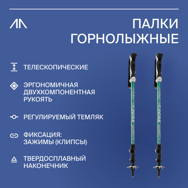 Палки горнолыжные GORАА Tundra - купить с доставкой по выгодным ценам в ...