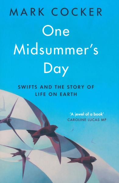 One Midsummers Day. Swifts and the Story of Life on Earth / Книга на ...