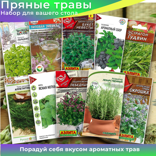 Пряные травы Овощи - купить по выгодным ценам в интернет-магазине OZON ...