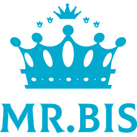 mr.Bis — купить товары mr.Bis в интернет-магазине OZON