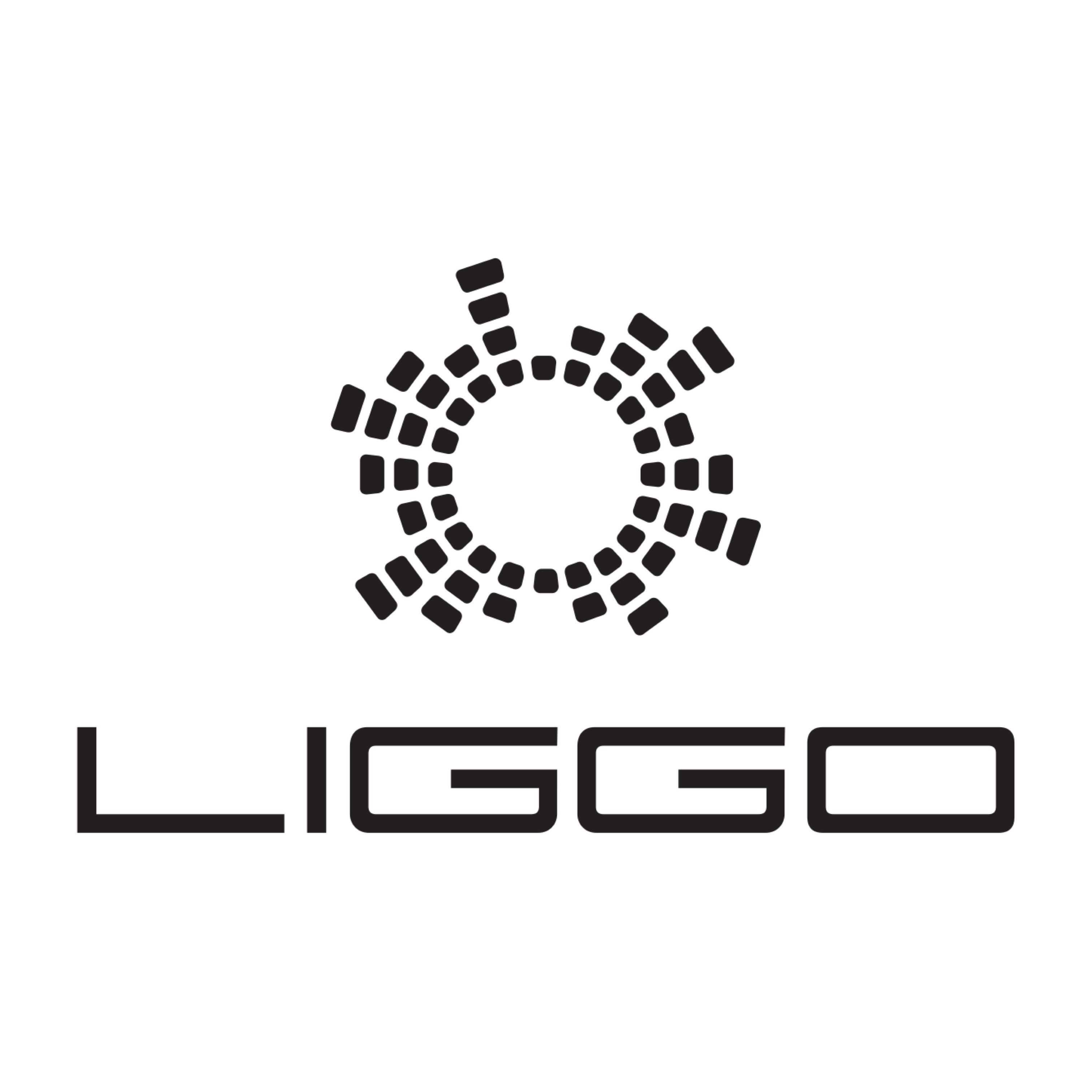 LIGGO — купить товары LIGGO в интернет-магазине OZON