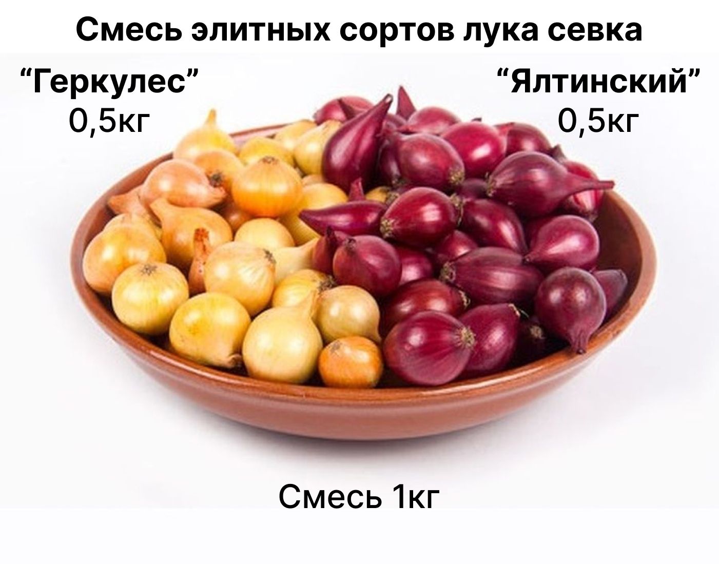 Лук Севок Геркулес купить – корни, клубни и луковицы на OZON по низкой цене