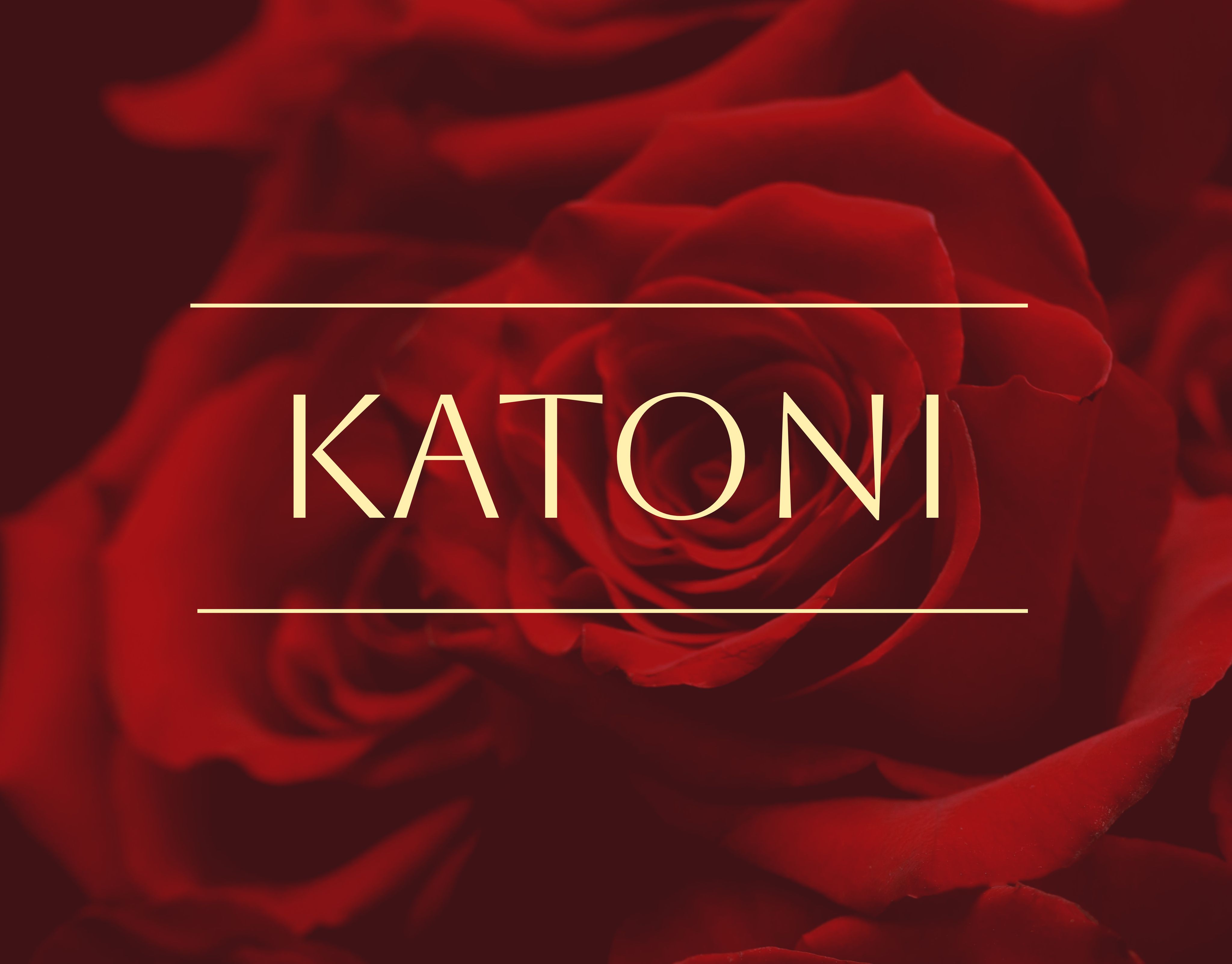 KATONI — купить товары KATONI в интернет-магазине OZON