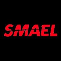SMALE — купить товары SMALE в интернет-магазине OZON