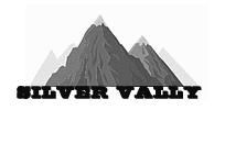 SILVER VALLY — купить товары SILVER VALLY в интернет-магазине OZON