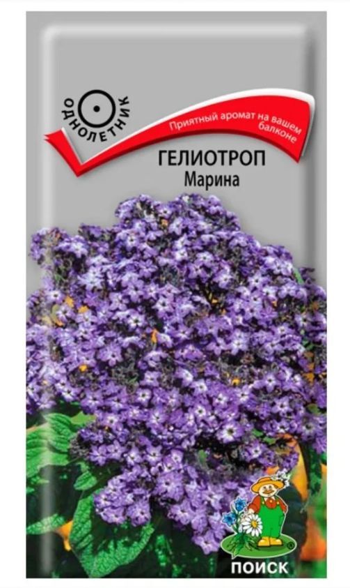 Гелиотроп Марина – купить в интернет-магазине OZON по низкой цене