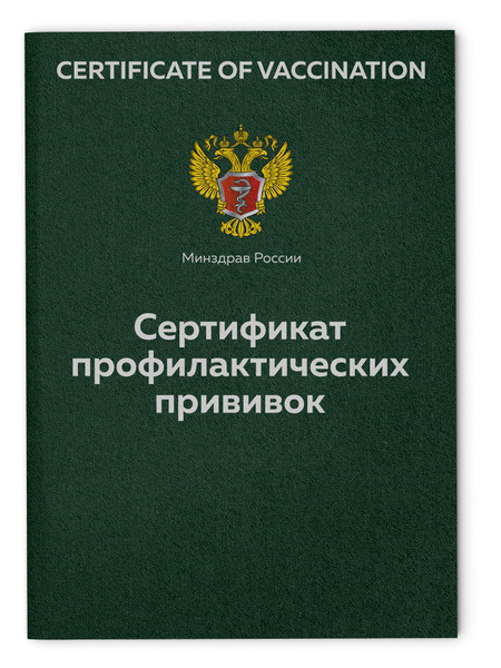 Докс Принт Сертификат прививок A6 (10.5 × 14.8 см), 1 шт. - купить с ...