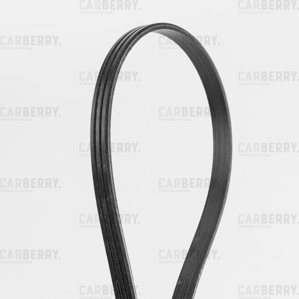 Ремень п/к - Carberry арт. 3PK853 - купить по выгодной цене в интернет ...