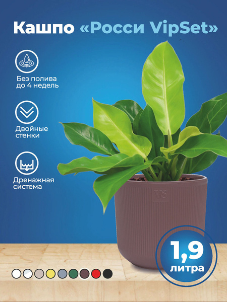 Горшок двойной Росси VipSet с системой автополива 1,9л - купить с ...