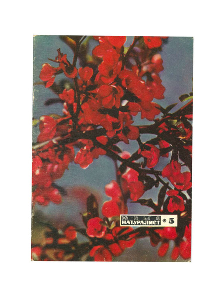 Журнал "Юный натуралист". Выпуск 5/ 1972 год - купить с доставкой по выгодным ценам в интернет ...