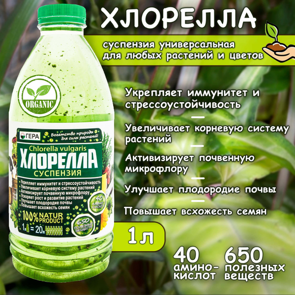 Хлорелла Суспензия удобрение для растений, для рассады и для цветов ...