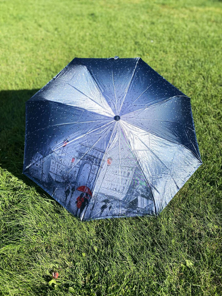Зонт Galaxy of Umbrellas, 2 сложения, темно-синий купить по низкой цене ...