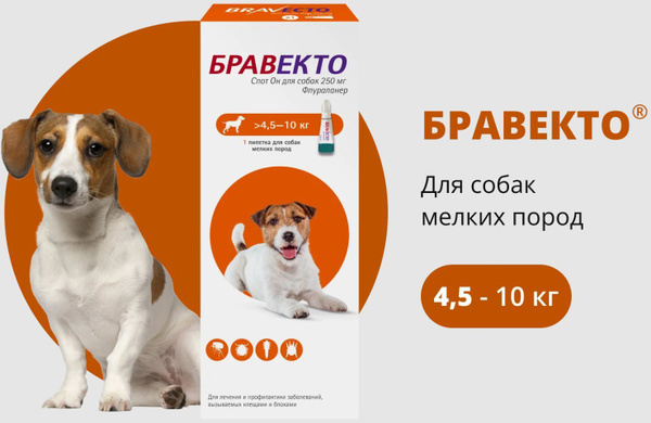 Капли Бравекто Спот Он от клещей и блох для собак весом 4,5-10кг ...