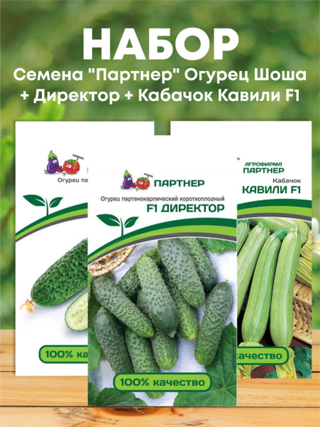 Огурцы Агрофирма Партнер Огурец_3_Огурец Шоша + Директор + Кабачок ...