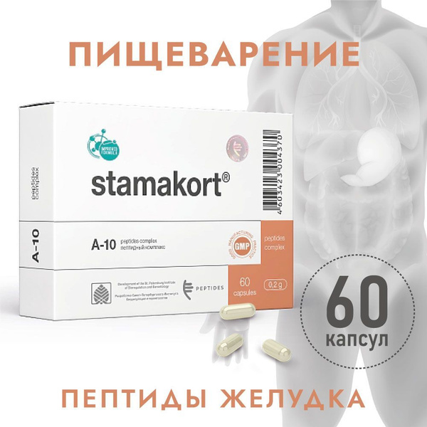 Стамакорт (Пептиды Хавинсона) пептид для желудка, 60 капсул, бад для ...