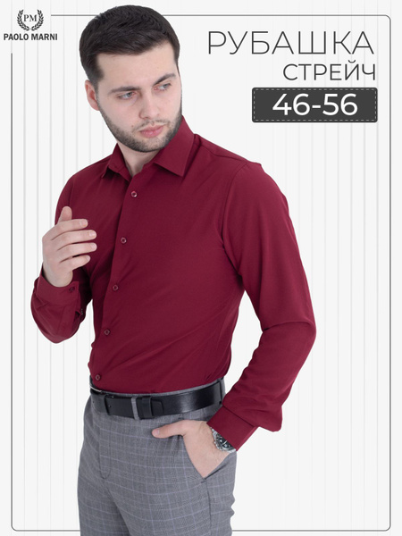 Рубашка Paolo Marni купить на OZON по низкой цене (987464872)