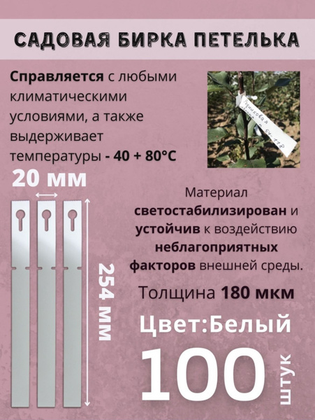 Бирка садовая, табличка садовая, для рассады, саженцев, табличка для ...