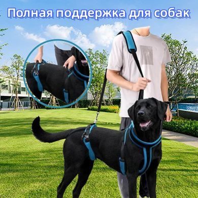 Ходунки для собак - купить с доставкой по выгодным ценам в интернет ...