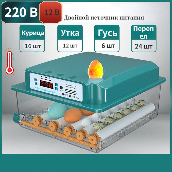 Домашний полностью автоматический инкубатор умных яиц - купить с ...