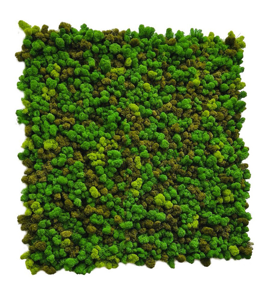 Украшение настенное интерьерное Панель из стабилизированного мха МОХУС 30х30см трехцветная