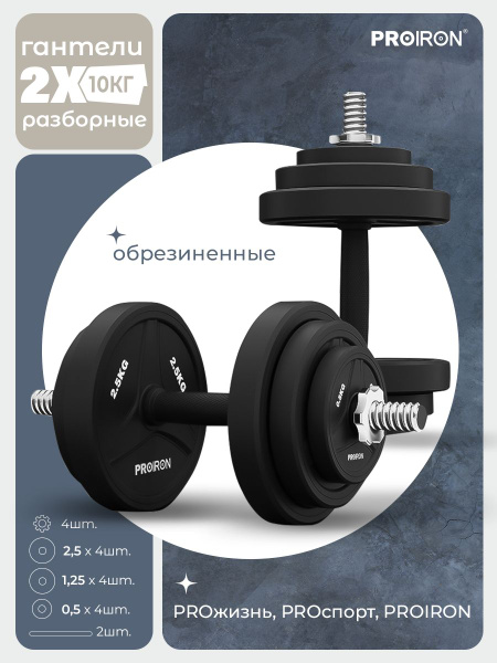 Гантели PROIRON Г2100, 2 шт. по 10 кг, черный - купить по выгодным ценам в интернет-магазине ...