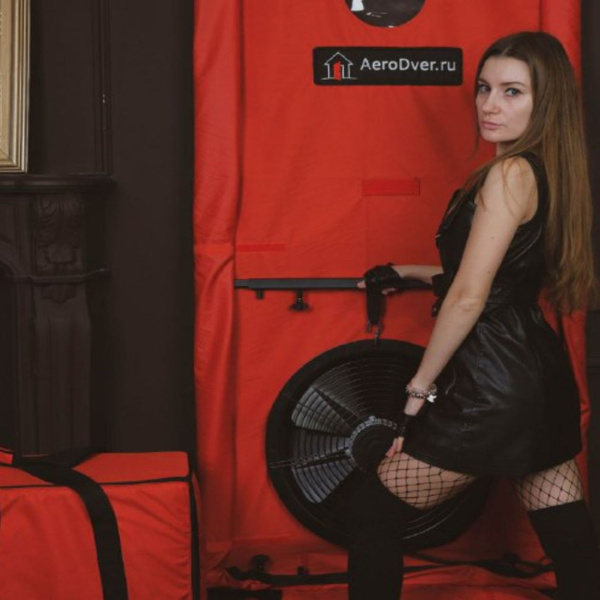 АэроДверь RetroTec 6000-4 купить на OZON по низкой цене (1405251475)