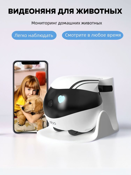 Видеоняня для животных купить на OZON по низкой цене (1403319557)