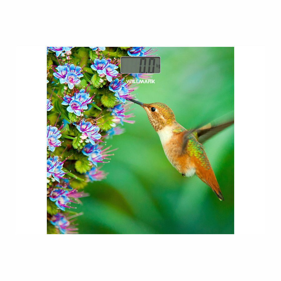 Напольные весы WILLMARK WBS-1811D, зеленый — купить в интернет-магазине ...