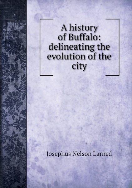 A history of Buffalo: delineating the evolution of the city - купить с ...