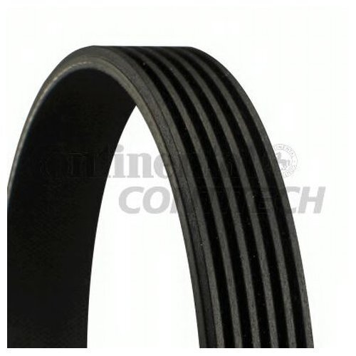 Ремень поликлиновой Contitech 6PK2460 - ContiTech арт. 6PK2460 - купить ...