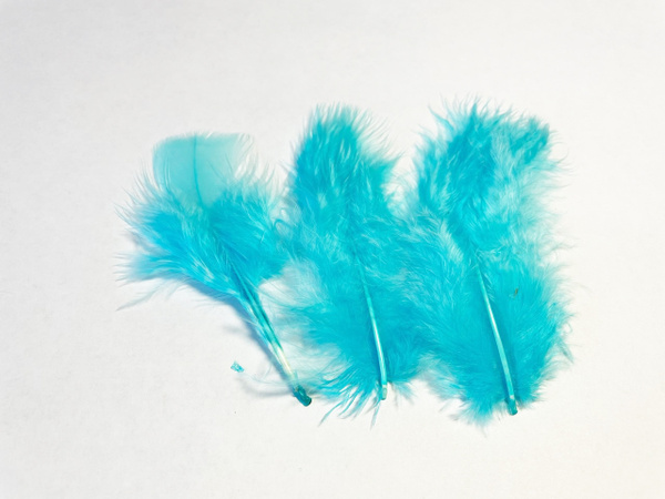 Перья декоративные голубые, размер 6-10 см., в комплекте 30 штук ...