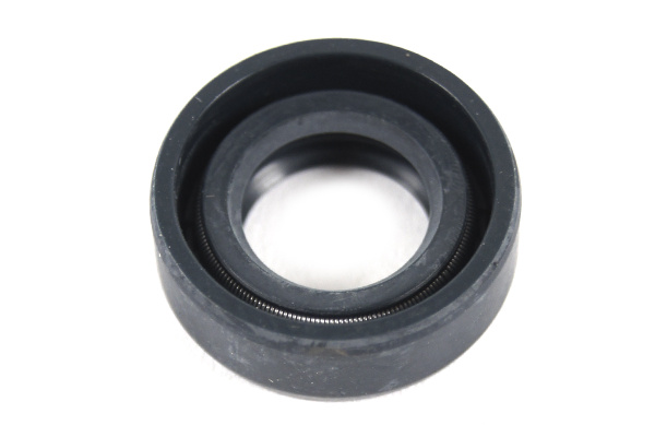 Сальник насоса 10х18х6 для Champion (Чемпион) PS-226, PS-257 - купить ...