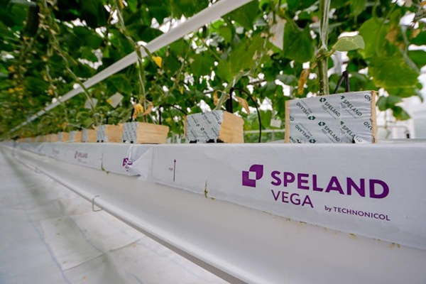 Мат вегетационный Speland Vega 1000*200*75 с 4-мя отверстиями купить c ...