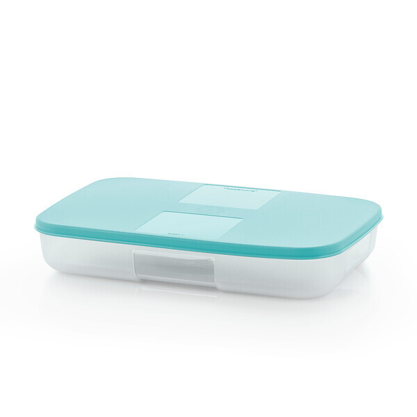 Контейнер пищевой Tupperware, объем 650 мл - купить по выгодной цене в интернет-магазине OZON ...