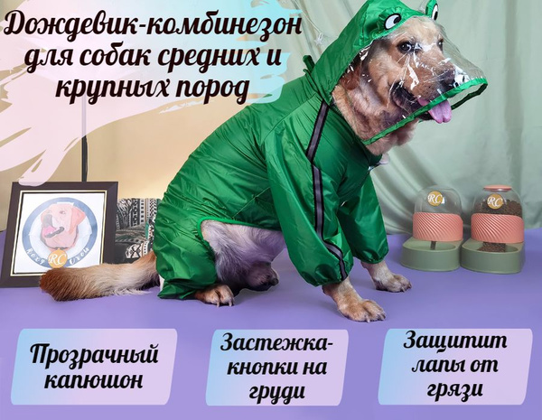 Дождевик-комбинезон Rexy crew "лягушонок" для собак средних и крупных пород, цвет зеленый ...