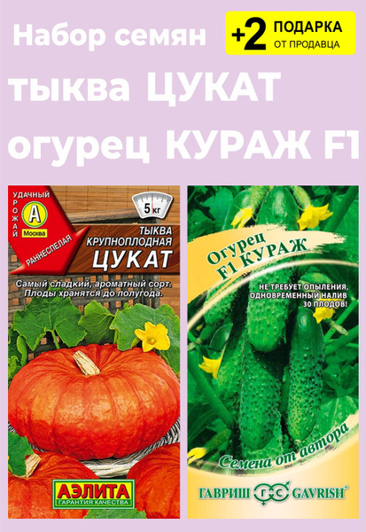 Тыквы, Огурцы Проверенные семена Цукат - купить по выгодным ценам в ...