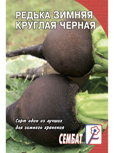 Редька Сембат Редька Стандарт - купить по выгодным ценам в интернет ...