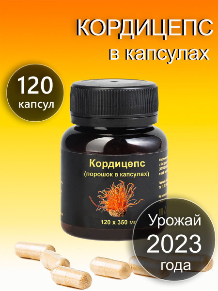 Гриб Кордицепс в капсулах (Cordyceps militaris) - 120 капсул - купить с ...