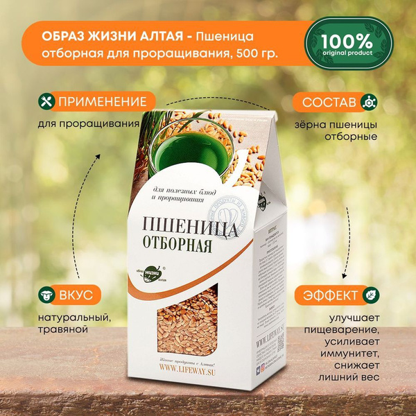 Семена для проращивания пшеница отборная Образ Жизни, 500 г - купить с ...