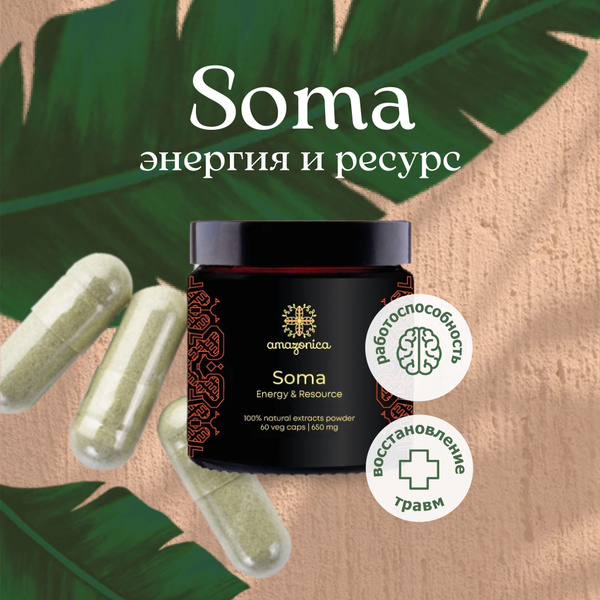Пищевая добавка Amazonica Soma энергия и ресурс 60 капсул - купить с ...