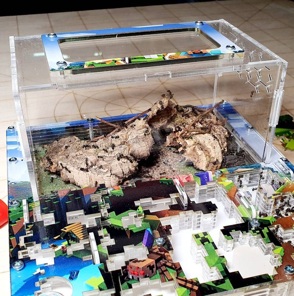 AntScape (АнтСкейп) от Биохобби - съёмная декорация для украшения муравьиных ферм, формикариев ...