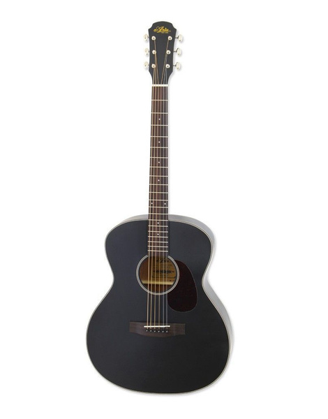 Акустическая гитара ARIA GUITARS ARIA-101 Matte Black - купить с ...